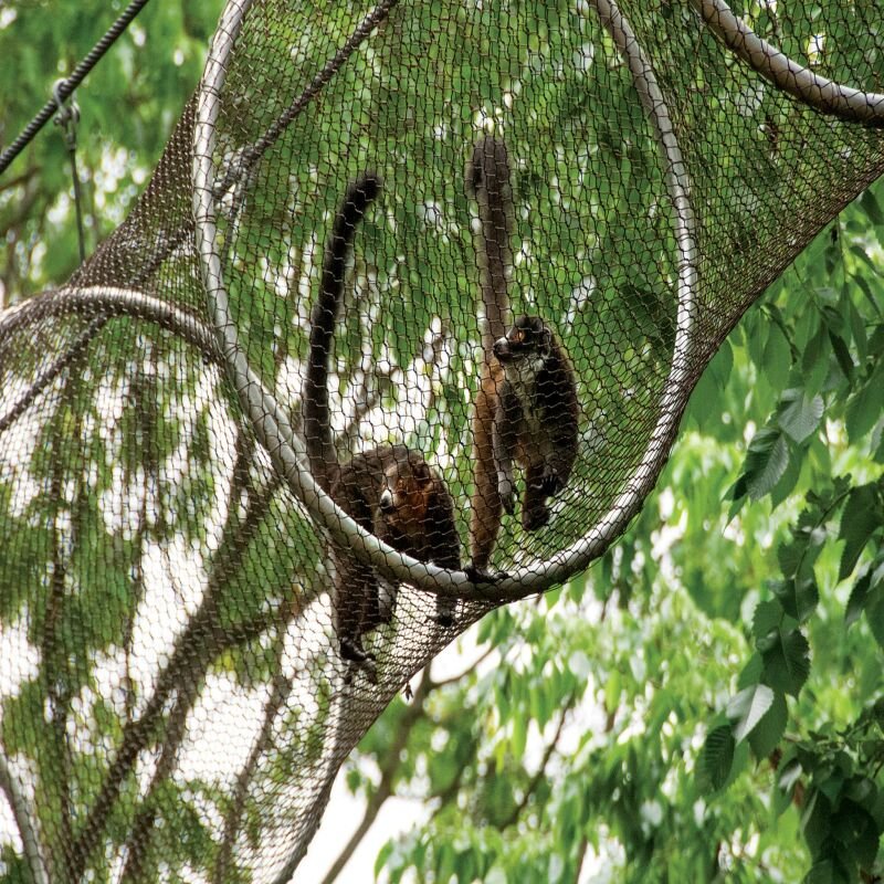 Jakob Mesh Railing: High-Quality Stainless Steel Wire Cable